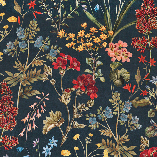 ΒΕΛΟΥΔΟ BEAUTIFUL FLOWER FIELD - Ntampoudis